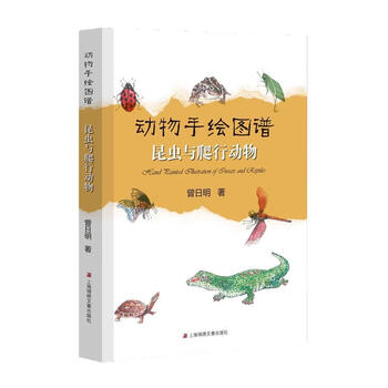 昆虫与爬行动物-动物手绘图谱 曾日明 科普读物 9787545217223
