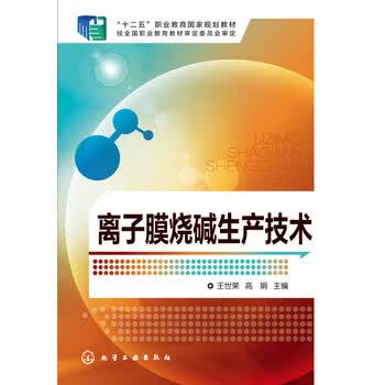 离子膜烧碱生产技术王世荣