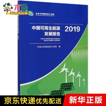中国可再生能源发展报告(2019)