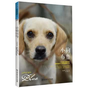 小狗布鲁【正版图书，放心下单】