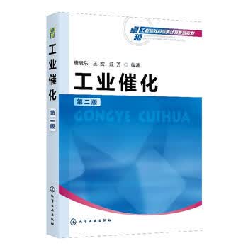 工业催化 第二版 化学工业出版社唐晓东 高等院校化学工程与工艺应用