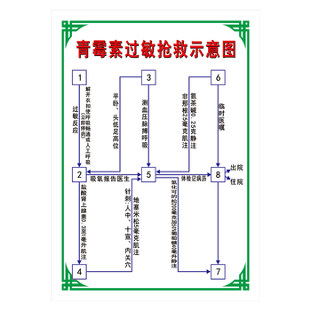 医院制度牌宣传画急救程序挂图药物过敏反应抢救流程图示意图贴画覆膜防水贴纸WSB169 WSB169-01 青霉素过敏抢救示意图 120*80厘米 覆膜防水PP贴纸