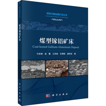 煤型镓铝矿床