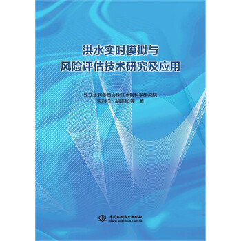 洪水实时模拟与风险评估技术研究及应用