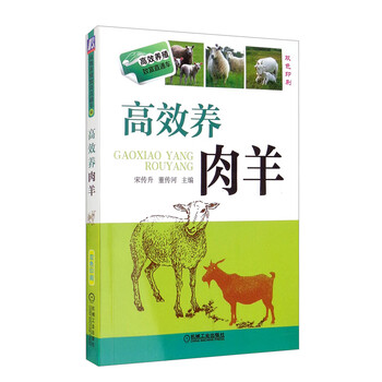 高效养肉羊（双色印刷）