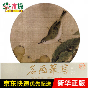 宋人花鸟(枇杷山鸟图)/名画摹写