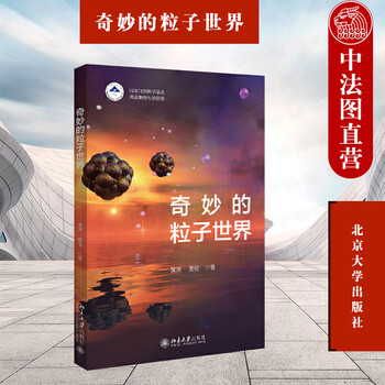 正版 奇妙的粒子世界 黄涛 微观世界中不同于日常生活的物理现象和特性 热门前沿科学议题 粒子物理核