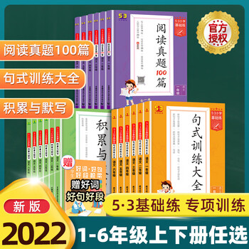 53小学基础练积累与默写下册 2022新版小学语文句式训练大全一二三年级四年级五六年级全一册句式大全 句式训练 小学二年级