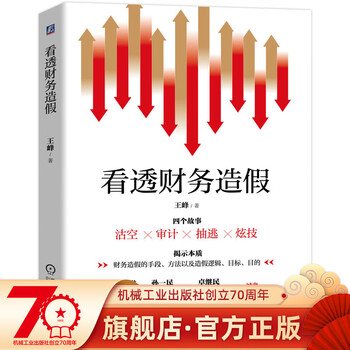 【官网现货】看透财务造假 王峰 教你识别财务造假书籍