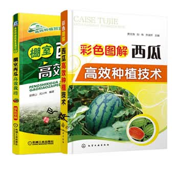 棚室西瓜高效栽培+彩色图解西瓜高效种植技术 西瓜种植栽培技术大全书籍 育苗育种教程 大棚种西瓜技术