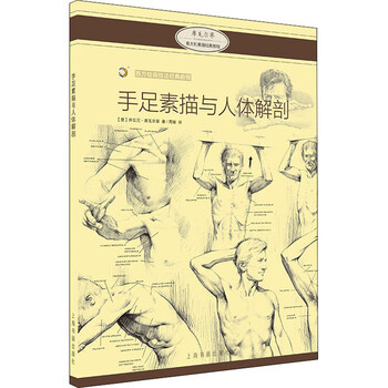 手足素描与人体解剖