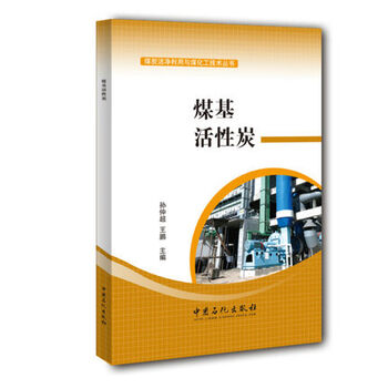 煤基活性炭 孙仲超,王鹏 主编