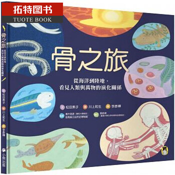 预售 骨之旅从海洋到陆地 看见人类与万物的演化关系 小熊