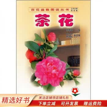 茶花 游慕贤