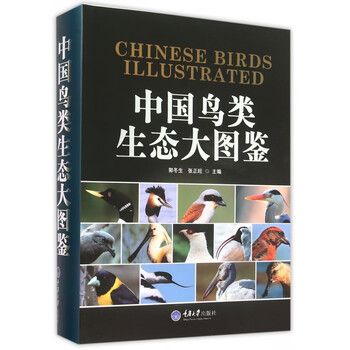 中国鸟类生态大图鉴(精)