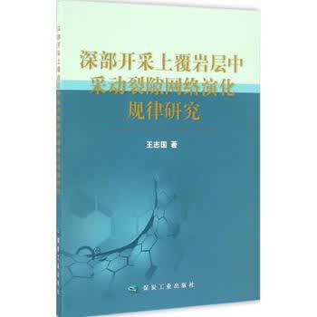 深部开采上覆岩层中采动裂隙网络演化规律研究 王志国 煤炭工业出版社