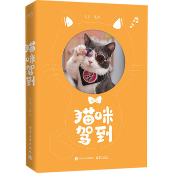 猫咪驾到