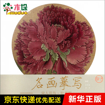宋人花鸟(牡丹图)/名画摹写