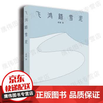 飞鸿踏雪泥