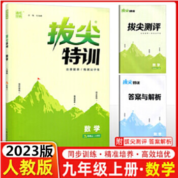 2022秋 拔尖特训 九年级上册数学 人教版