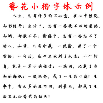 人民日报金句字帖摘抄作文素材公务员范文楷书行楷正楷学生练字帖 簪花小楷字体