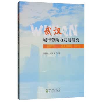 武汉城市劳动力发展研究