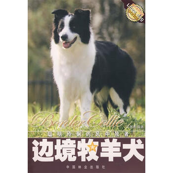 边境牧羊犬【正版图书，放心下单】