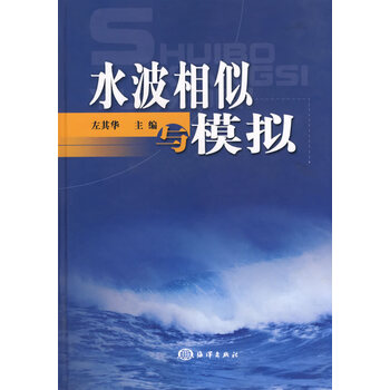 水波相似模拟 左其华 主编