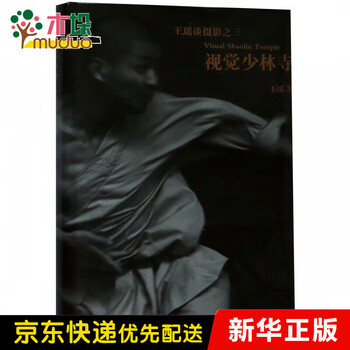 视觉少林寺(精)