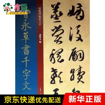 智永草书千字文/经典碑帖放大本
