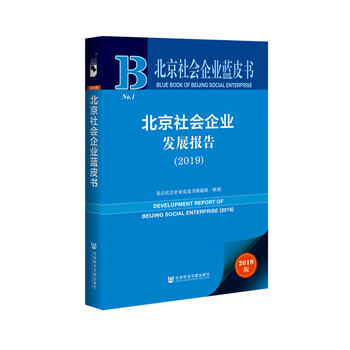 北京社会企业蓝皮书：北京社会企业发展报告（2019）
