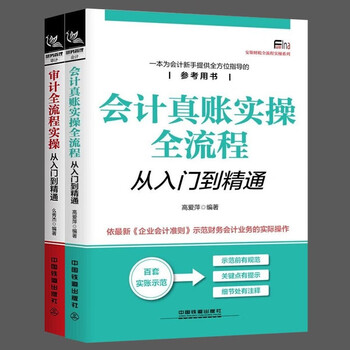 2册 会计真账实操全流程从入门到精通+审计全流程实操从入门到精通 会计实操书籍