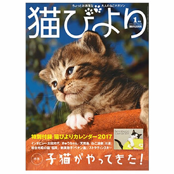 【包邮】【订阅】猫びより 日本日文原版 猫咪宠物杂志 年订6期