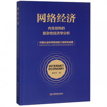 网络经济(内生结构的复杂性经济学分析)
