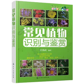 常见植物识别与鉴赏