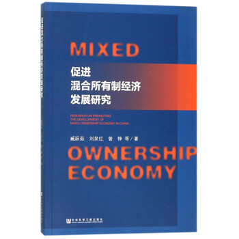 促进混合所有制经济发展研究