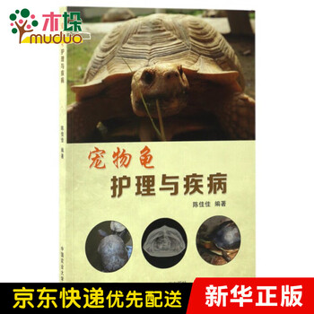 宠物龟护理与疾病