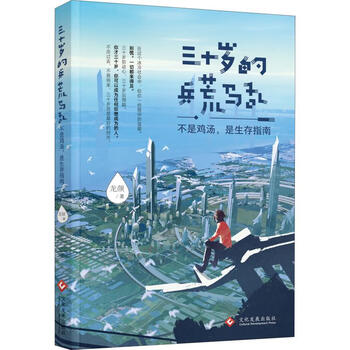 三十岁的兵荒马乱 不是鸡汤,是生存指南