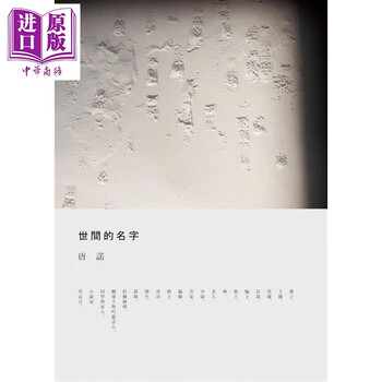 世间的名字 港台原版 唐诺 印刻 华文创作 散文