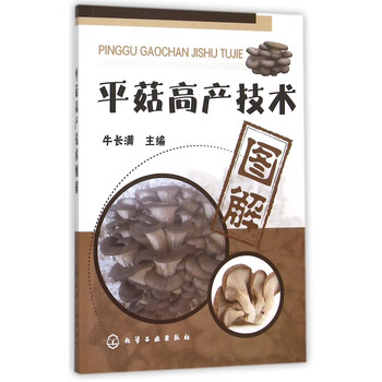 平菇高产技术图解