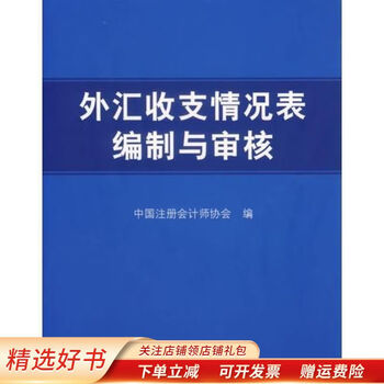 外汇收支情况表编制与审核