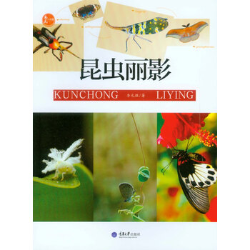 昆虫丽影