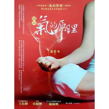 台版 图解气的原理 中医疗法养生智慧健康医疗保健