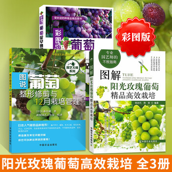 全3册图解阳光玫瑰葡萄精品高效栽培+图说葡萄整形修剪与12月栽培管理+葡萄促早熟栽培配套技术  种植