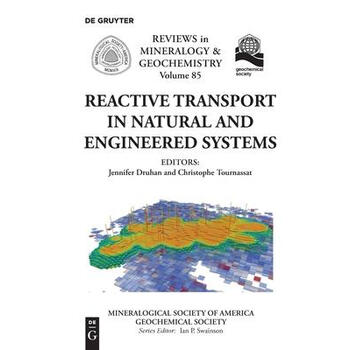 Reactive Transport in Natural and Engineered Sy