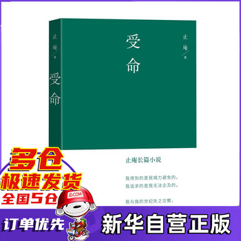 受命 止庵小说 新书