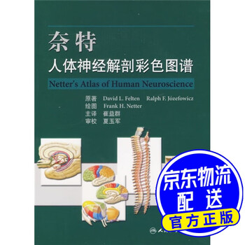 奈特人体神经解剖彩色图谱