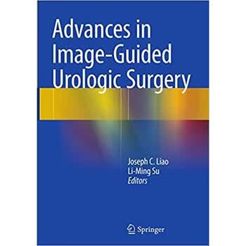 Advances in Image-Guided Urologic Surgery