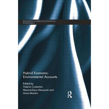 Hybrid Economic-Environmental Accounts