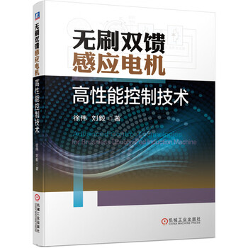 无刷双馈感应电机高性能控制技术
